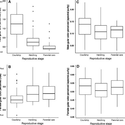 Gular Skin Color Variation Throughout Reproductive Stages For A Male