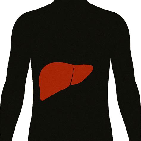 Ferritin Iron And Tibc Panel Ulta Lab Tests
