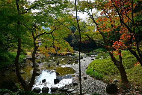 小石川後楽園の紅葉状況 photo hobby