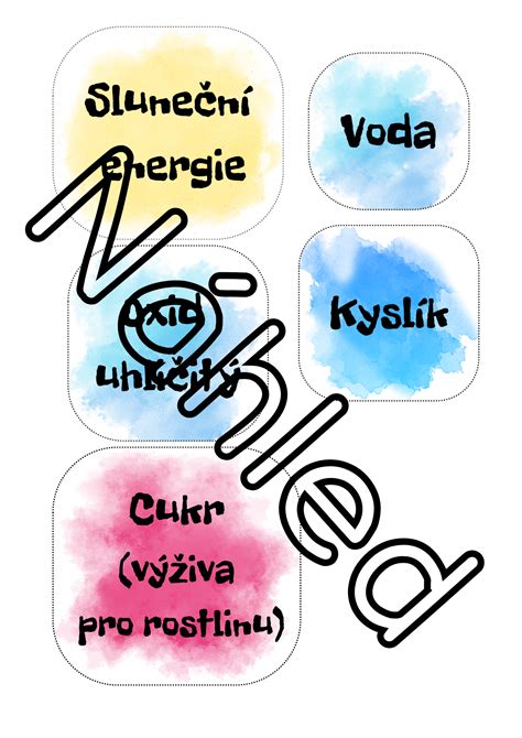 Fotosyntéza Biologie Učiteléučitelůmcz