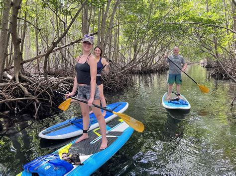 Nature On Paddleboard Miami Nature And Paddleboard Adventures