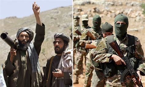 توجه جديد فروع تنظيم القاعدة واللجوء للتفاوض المركز المصري للفكر