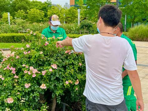 绿化养护工证书怎么考取？含金量咋样？报考流程？出证期？有用吗 哔哩哔哩
