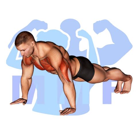 Push Up Your Easy To Follow Guide For Mastery