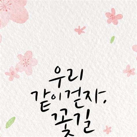 캘리그라피 강그림 On Instagram 꽃길 걷자🌸 여의도엔 벌써 꽃비가 내려요 봄비 소식까지 있으니 벌써부터 아쉬운 마음