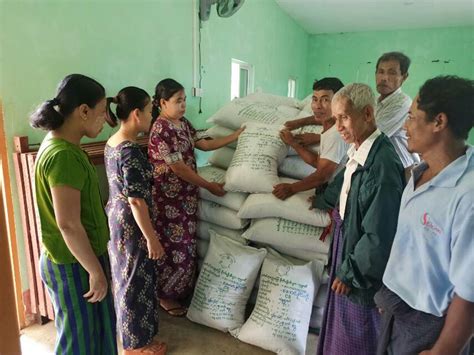 ချောင်းဆုံမြို့နယ်၌ မိုးစပါးစိုက်ပျိုးမည့် အခြေခံသမဝါယမအသင်းသားများအား အထွက်တိုးမျိုးစပါးမ