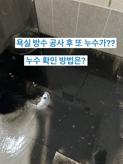 포항 대방한양 아파트 1층 욕실 누수 방수 공사 후 또 누수가 확인 방법은 네이버 블로그