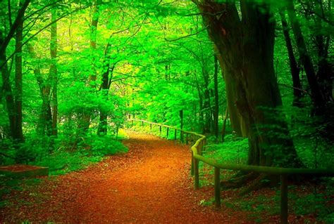 Live Nature Wallpapers Top Free Live Nature Backgrounds Wallpaperaccess