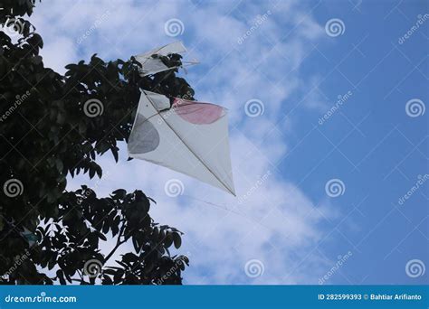 Kite Stuck In A Tree Stock Image Image Of Advertising 282599393