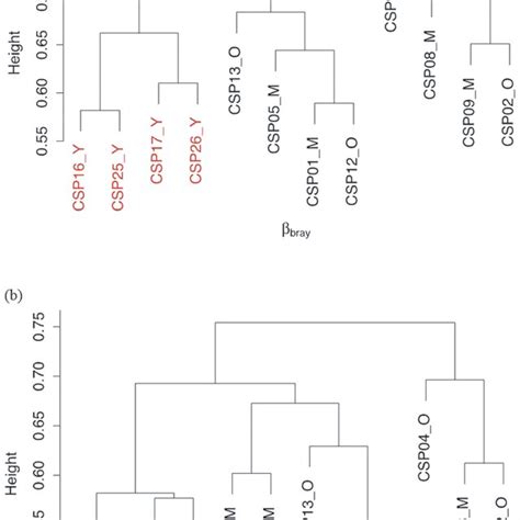 Complete Hierarchical Clusters Based On Pair Wise Dissimilarity