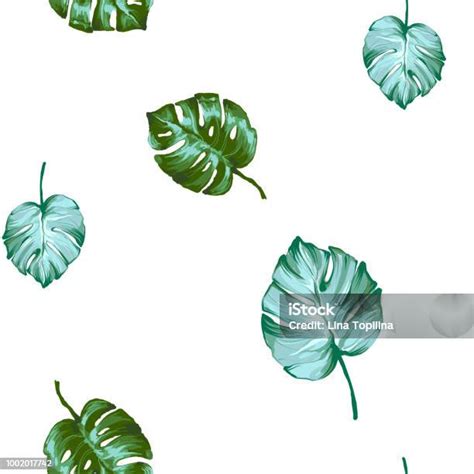 從棕櫚龜背竹的無縫圖案在白色背景下分離出不同種類的葉子向量圖形及更多夏天圖片 夏天 大 大自然 Istock