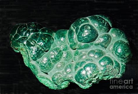 Malachite Photograph By Millard H Sharp Fine Art America