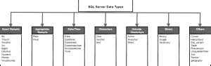 An Overview Of Sql Server Data Types