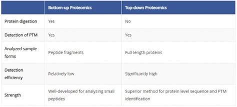 基于Top down自上而下蛋白质组学服务 技术服务 报价 价格 生物器材网