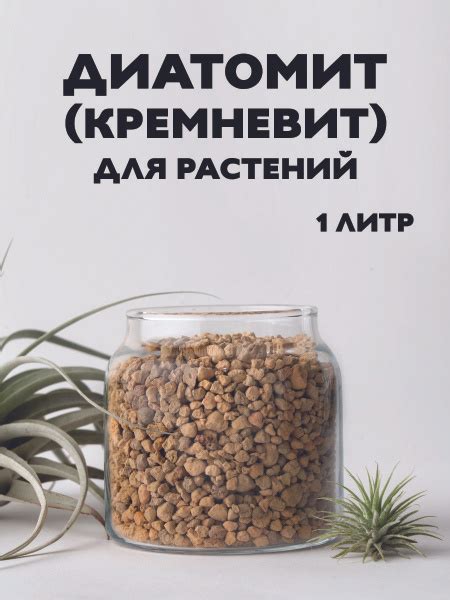 Диатомит (кремневит) 1л. - купить по низкой цене в интернет-магазине ...