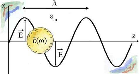 4 Surface Polarization Charges Distribution Inside A Large Particle