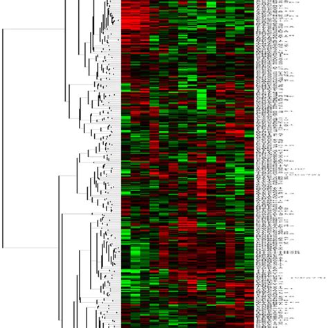 Kinase Gene Expression Nanostring Of Normal And Tumor Samples Gene