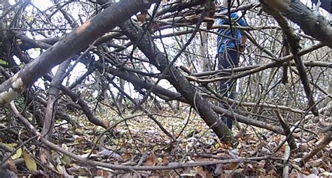 Men And Women In The Beach Forest The Tree Spy