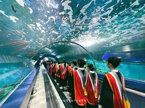 Photo Gallery ฉีกทุกกฎรับปริญญา “ม บูรพา ปัญญาภิวัฒน์” โชว์เงือก เปิดคอนเสิร์ต โพสต์ท่าถ่าย