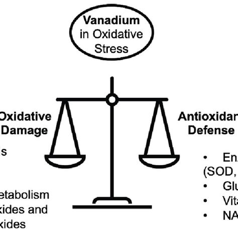 Molecules Involved In Oxidative Stress With Either Unfavorable