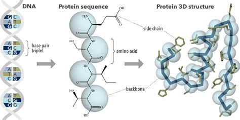Figure 1 From Ribonucleotide Reductase And Methane Monooxygenase Semantic Scholar