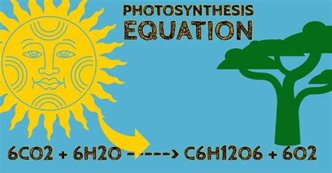 How To Calculate Balanced Chemical Equation For Photosynthesis