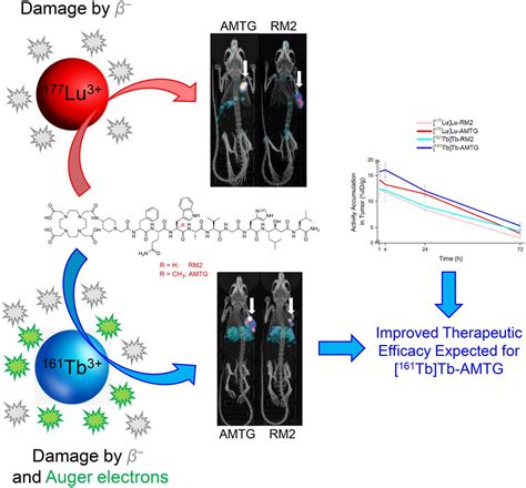 Preclinical Evaluation Of Gastrin Releasing Peptide Receptor