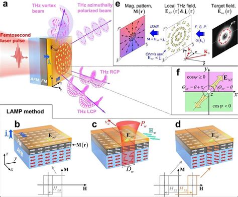 Flexible Generation Of Structured Terahertz Fields Via Programmable