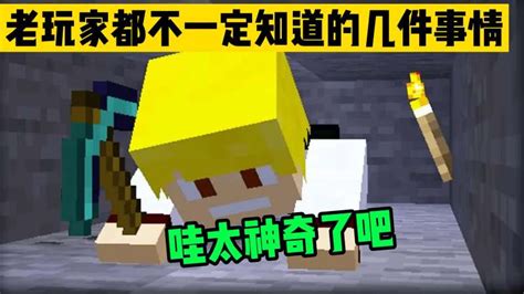 我的世界：22件老玩家都不一定知道的事情游戏沙盒游戏好看视频