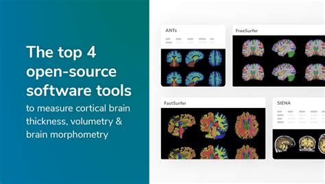 The Top 4 Open Source Software Tools To Measure Cortical Brain
