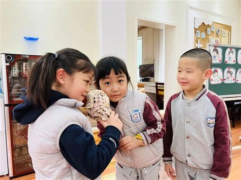 【卫生保健】关爱小耳朵，聆听大世界 西安交通大学幼儿园
