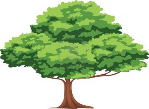 Tree Cartoon Png