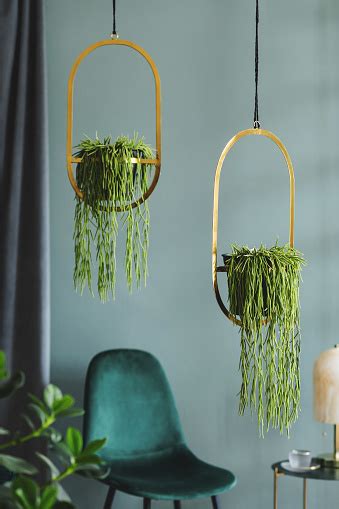 녹색 벨벳 의자 디자인 커피 테이블 대리석 테이블 램프 매달려 골드 화단 식물과 우아한 액세서리와 거실의 세련되고 고급스러운 인테리어 디자인 템플릿 현대적인 홈 장식 0명에