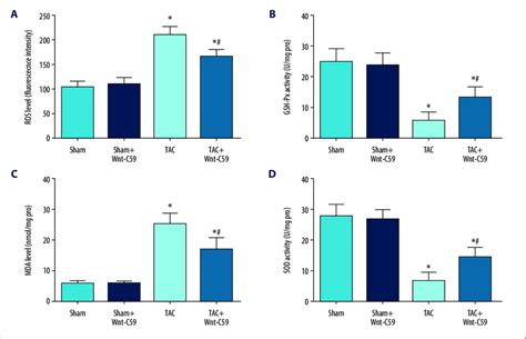 Wnt C59 Ameliorated Oxidative Stress In Heart Tissue Of Mice Subjected