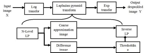 Speckle Noise Reduction In Medical Ultrasound Images Intechopen