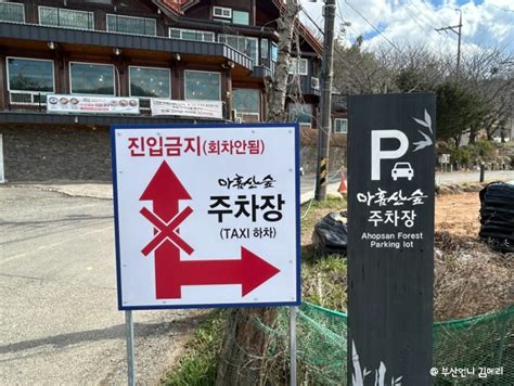 부산 기장 수목원 산책코스 대나무숲 아홉산숲 네이버 블로그