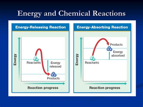 Ppt Cell Structure Function And Macromolecules Powerpoint Presentation Id 9473315