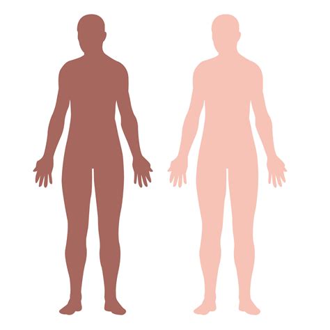 Diseño De Vector De Silueta De Cuerpo Humano 16186283 Vector En Vecteezy