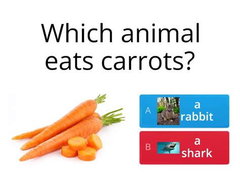 Science 1 Review Quiz