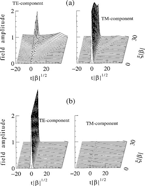 A Beam Propagation Method Simulation Of The Evolution Of A Fast