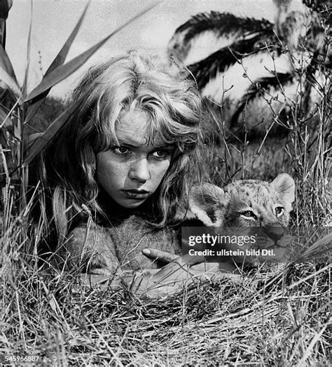 Liane Jungle Goddess Photos And Premium High Res Pictures Getty Images