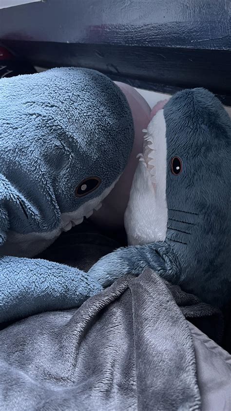 Mama haj is holding baby haj’s fin to make them feel safe : r/BLAHAJ