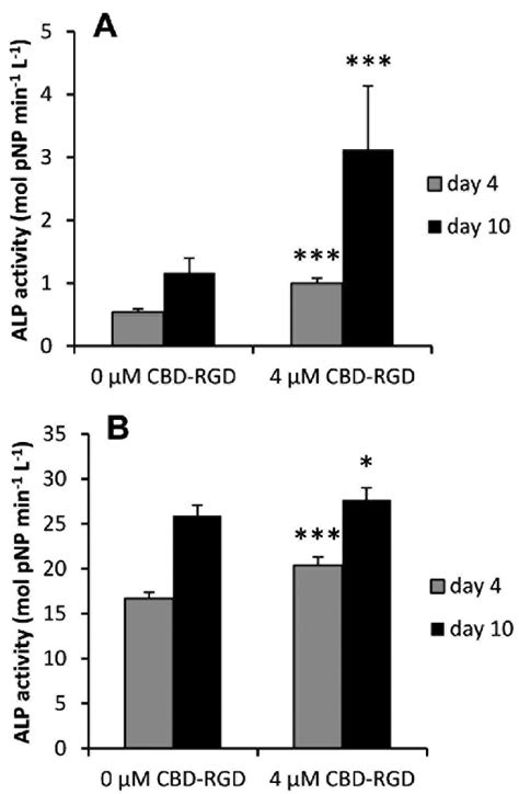 Alkaline Phosphatase Activity Of Mc3t3 E1 Mouse Preosteoblasts A And