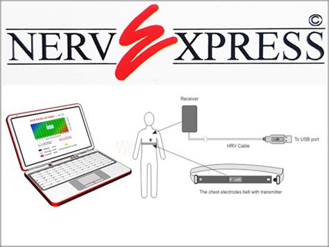 Nerve Express Heart Rate Variability System Bioenergydoc