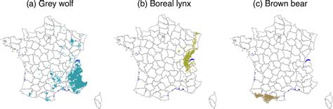 Regular And Occasional Presence In 100 Km² Gridded Map In France For