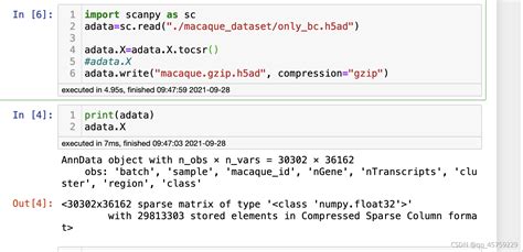Seurat Singlecellexperiment Anndata相互转化rds数据转h5ad Csdn博客