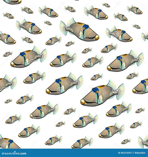 Picasso Triggerfish Pattern Stock Vector Illustration Of Picassofish