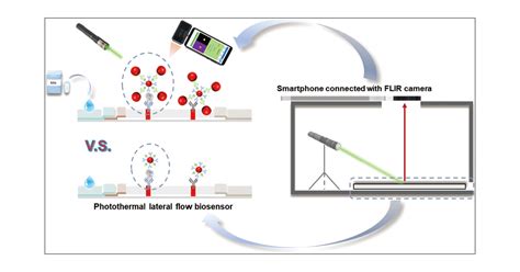 Double Enhanced Photothermal Lateral Flow Biosensor Based On Dual Gold Nanoparticle Conjugates