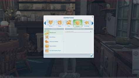Lifetime Aspirations Reworked The Sims 4 Mod Walkthrough