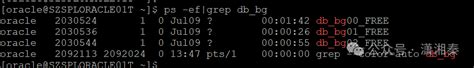 Oracle 23ai新的后台进程bgnn介绍 技术栈 Oracle 23ai新的后台进程bgnn介绍 技术栈
